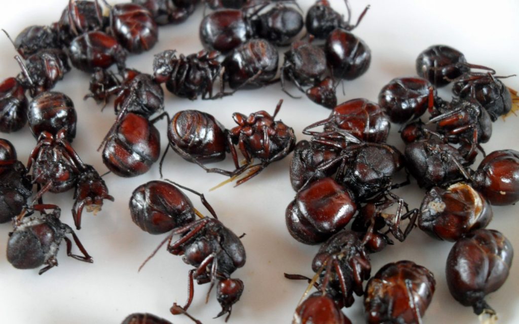 17 Weird Foods in Peru for Adventurous Eaters to Try | New Peruvian