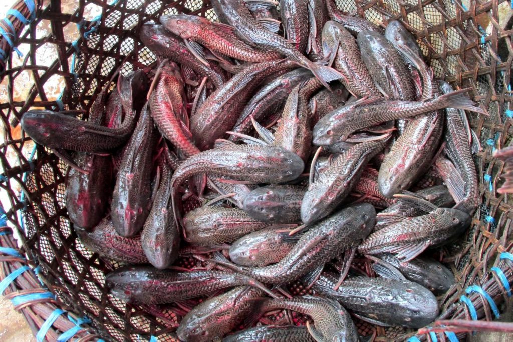 6 Reasons to Explore Northern Peru | New Peruvian